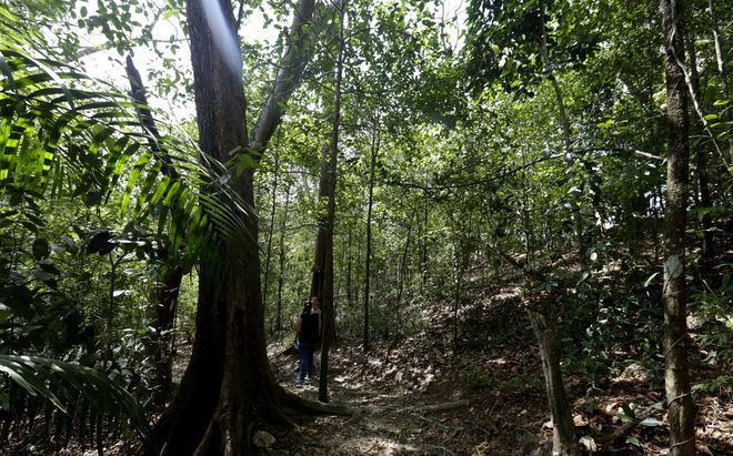 Panama To Open Protected Parks Today Panama Now Online